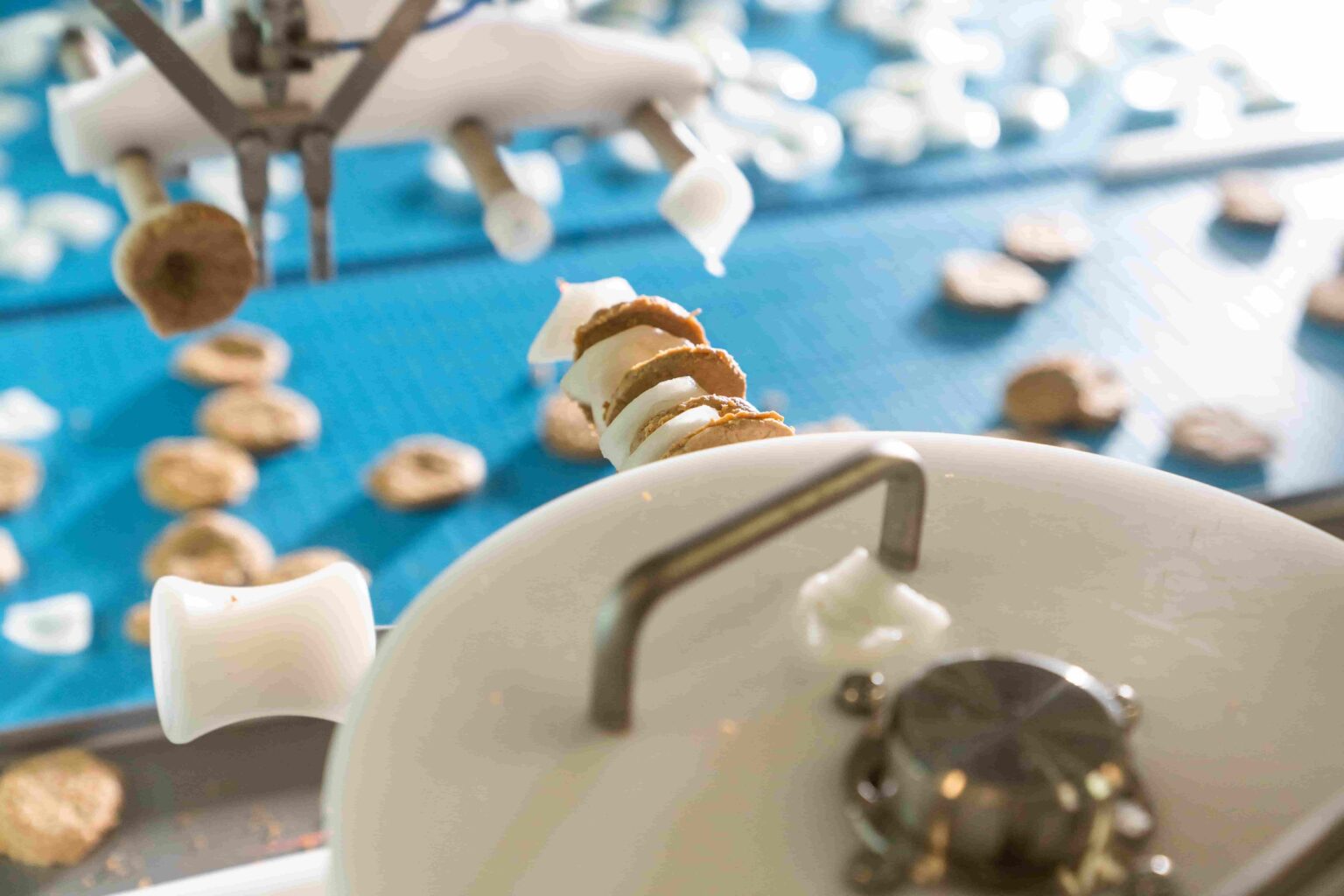 Fully Automatic Skewer machine - PINTRO EN